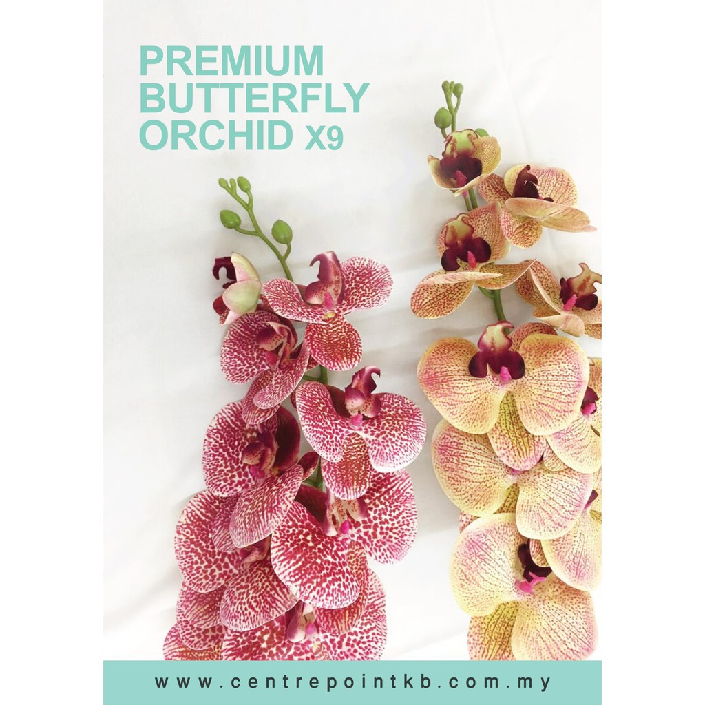 🔥NEW🔥 【READY STOCK】94 Colours!! 9 Heads 3D Latex Butterfly Orchid 【A ...