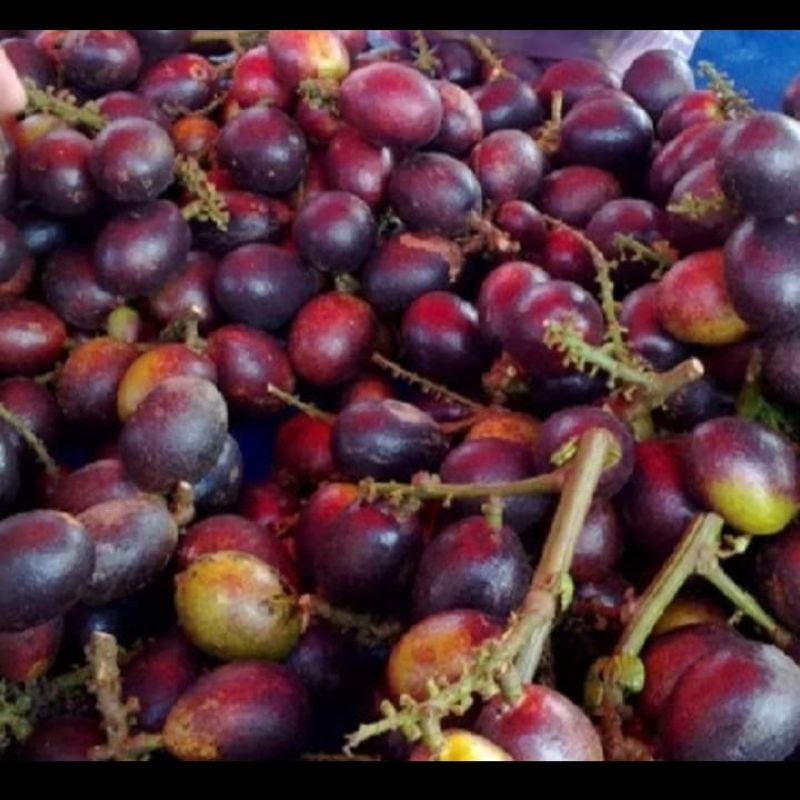 Buah Longan Brazil @ Kristal FRESHHH 1KG (Items Limited) | Shopee Malaysia