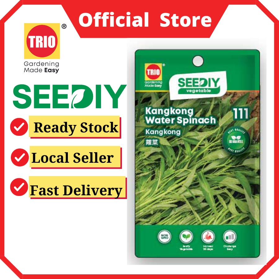 TRIO SEEDIY Kangkong Water Spinach 蕹菜 Kangkong 111 veggie seeds ...