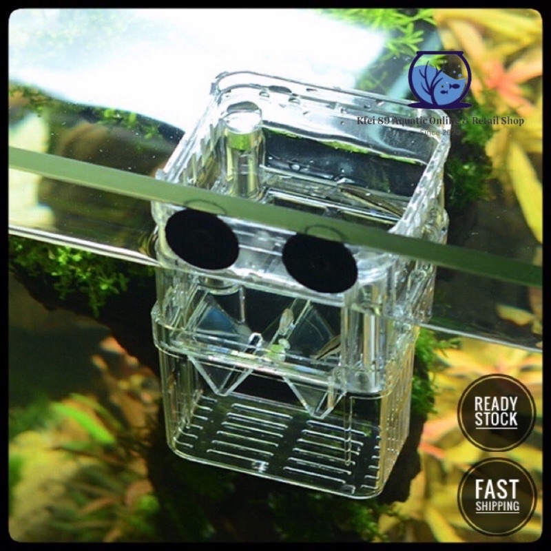 KFEI89 Aquarium Breeder Tank / Separate Newborn Fish | Shopee Malaysia
