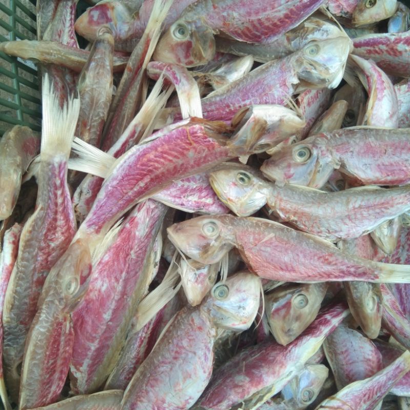 Ikan Masin Butir Nangka Ikan Kering Original Kelantan 500g | Shopee Malaysia
