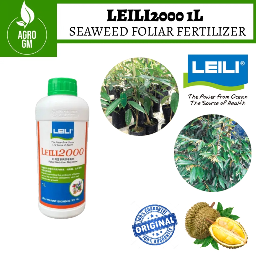 LEILI 2000 Seaweed foliar Fertilizer Foliar Baja Sayur Durian Cili ...