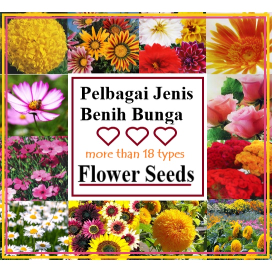 Pelbagai Biji Benih Bunga Flower Seed Mixed Colors Gardening 多种类花种子 ...