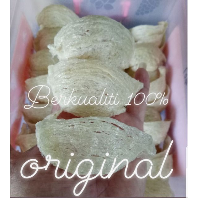 🔥BERKUALITI🙋SARANG BURUNG WALIT 100% ORIGINAL DARI RUMAH BURUNG SENDIRI ...