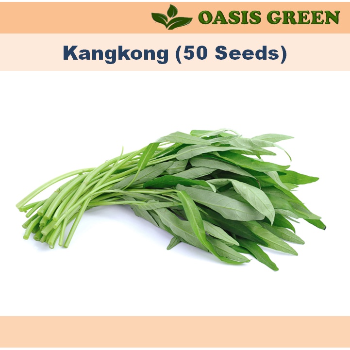 Biji Benih / Vegetable Seed /FLOWER SEEDS /SAYUR/BUNGA/BUAH BENDI ...