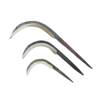 Coconut Sickle / Banana Sickle / Sabit Kait Kelapa / Kait Pisang ...