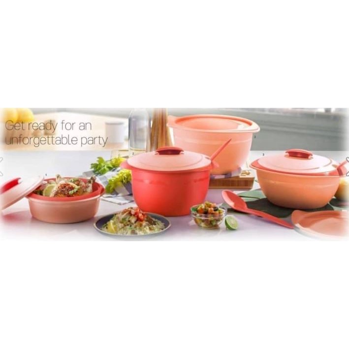 [Tupperware Level] Insulated Server with Spoon (1.4L / 2.5L / 3.5L ...