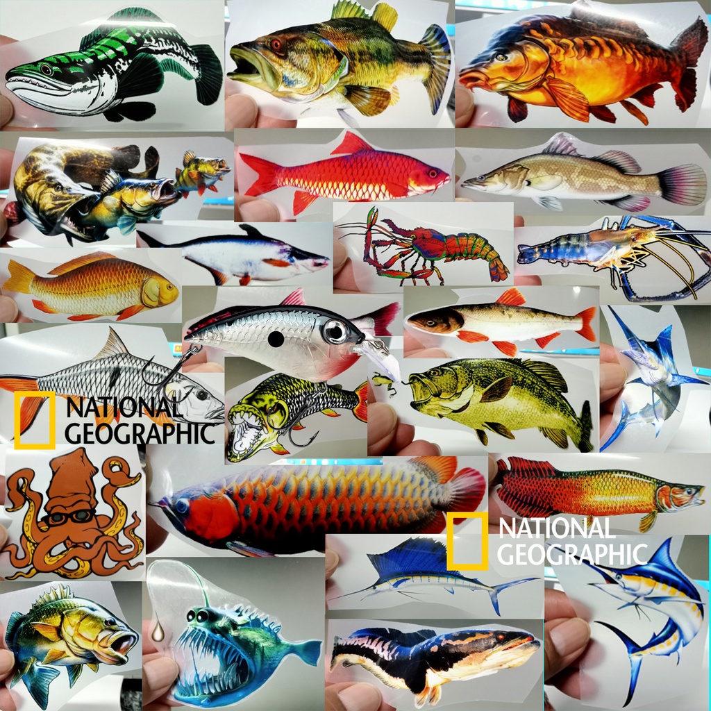 [READY STOCK] STICKER BAJU SPESIS IKAN V.1 FISH LOGO ( PU/DTF ...