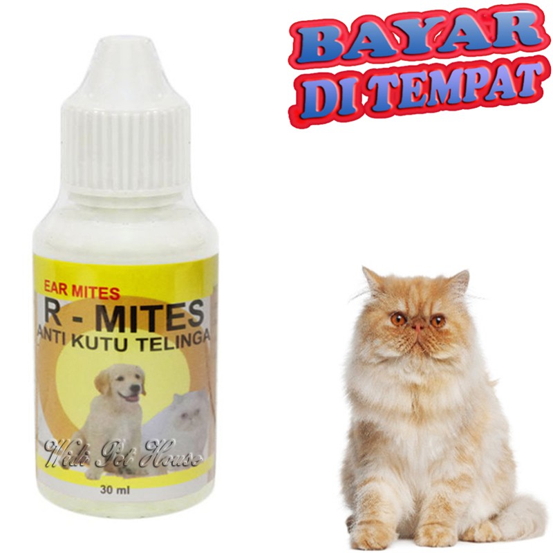 Medicine For Cat Dog Ear Lice R MITES Drops CONGEAN Swelling ...
