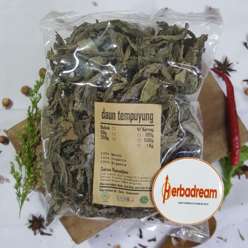 100 GRAM TEMPUYUNG SONCHUS ARVENSIS SONCHI FOLIUM KEROK BATHOK RAYANA WATER OO SOW THISTILE DRY ...