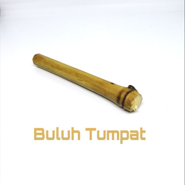 Buluh Tumpat 4-5inci | Shopee Malaysia