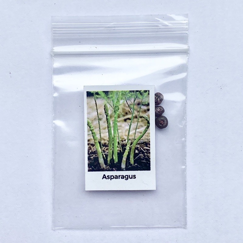 Biji benih asparagus hijau | Shopee Malaysia