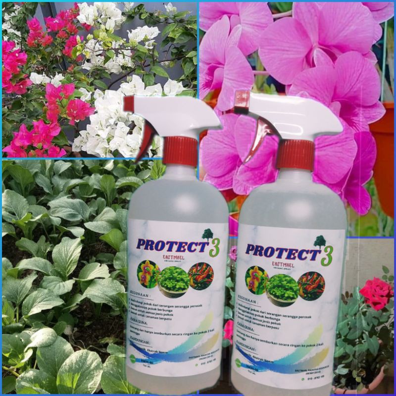 PROTECT 3, RACUN ORGANIK,PENGGALAK BUNGA ,SPRAY ORGANIK,ANTI SERANGGA ...