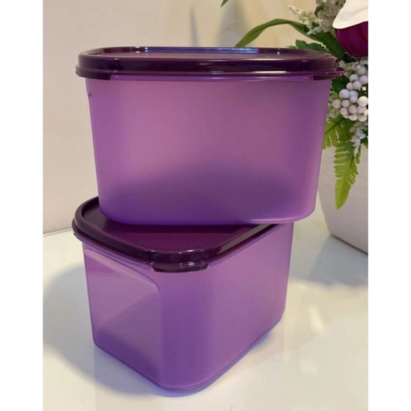 Tupperware Modular Mates Mini Rectangular 1.9L (1pcs) | Shopee Malaysia