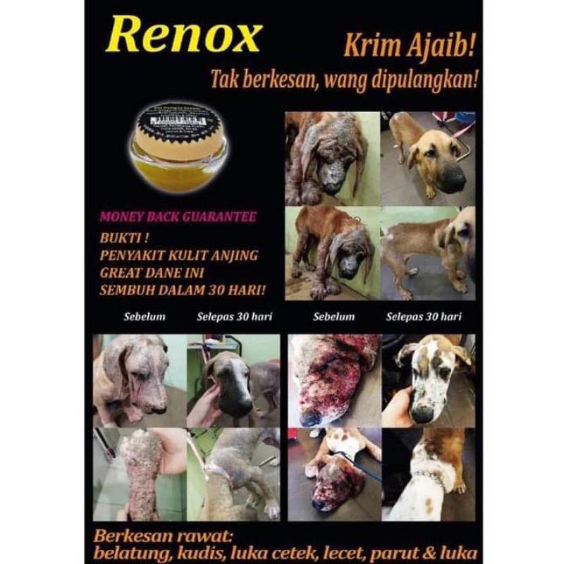 Renox Pet Fungus Cream (5g) | Shopee Malaysia