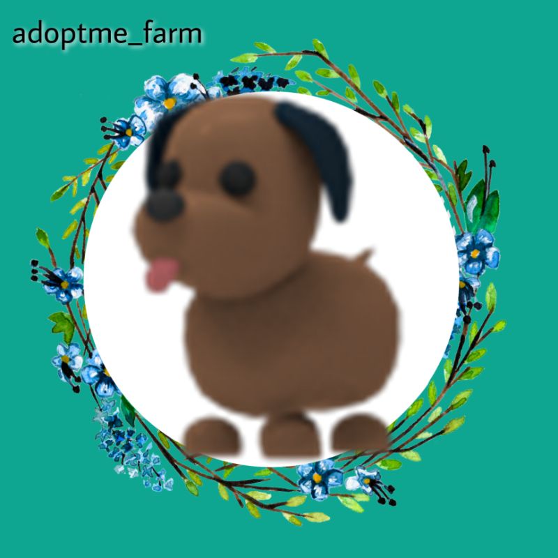 🐾Adopt Me Chocolate Labrador🐾 | Shopee Malaysia