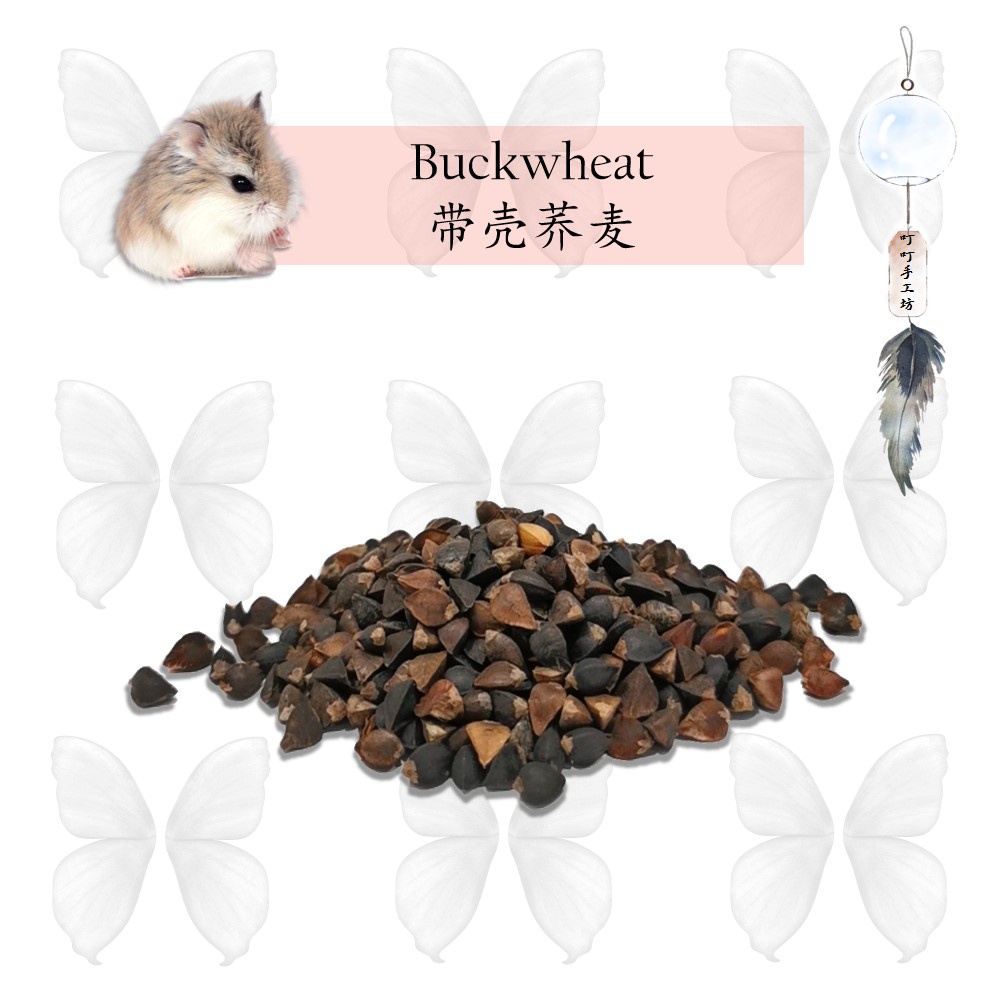 Premium Natural Buckwheat 20g 带壳/无壳荞麦 Hamster Bird Parrot Food 仓鼠五谷 ...