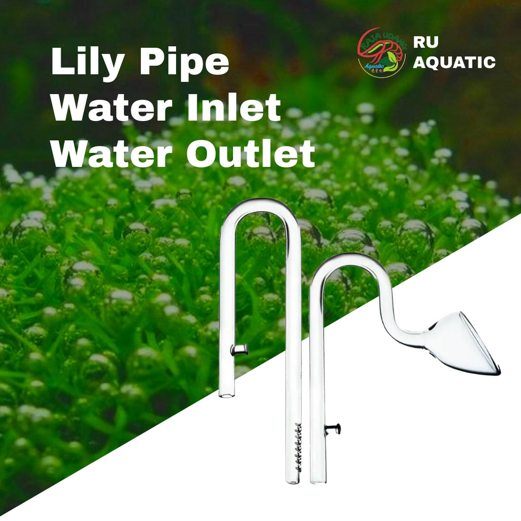 LILY PIPE WATER INLET & OUTLET AQUARIUM | Shopee Malaysia