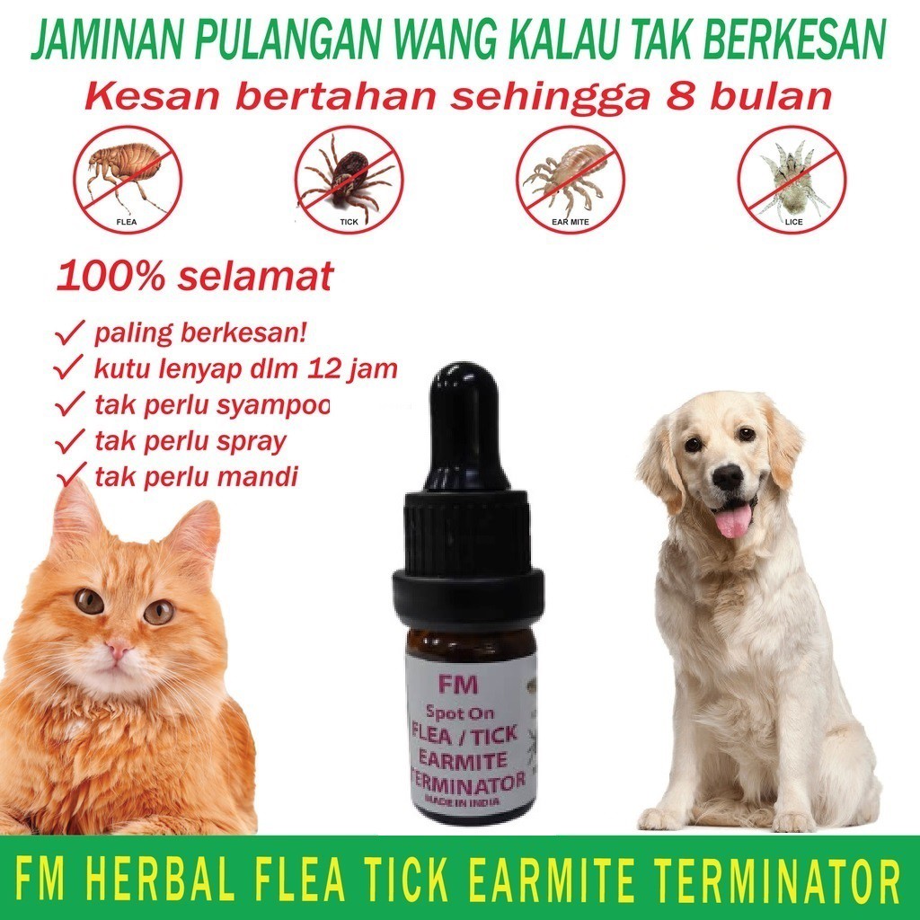 4ml FM Spot On Flea Tick Earmite Terminator - Ubat Kutu, Hama, Telur ...