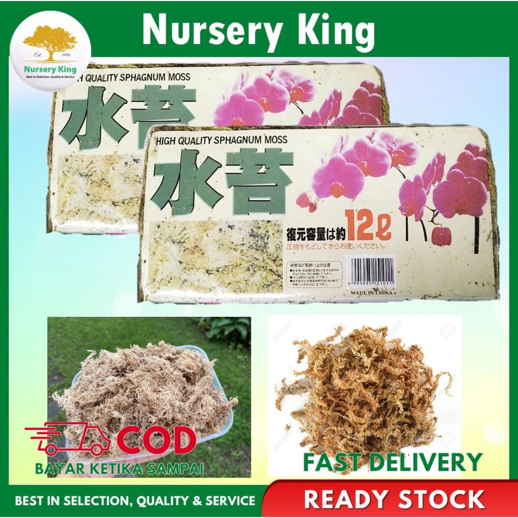 High Quality Sphagnum Moss/Peat Moss Plant Lumut Sphagnum | Shopee Malaysia