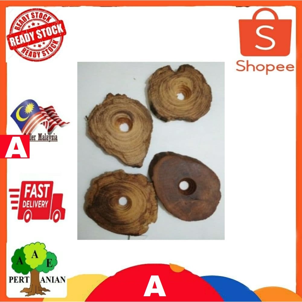 Kepingan Kayu, Driftwood Slice or Stick for aquarium or airplant ...