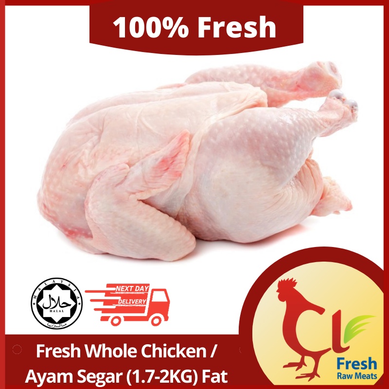 Fresh Whole Chicken / Ayam Segar (1.7KG+-) Fat | Shopee Malaysia