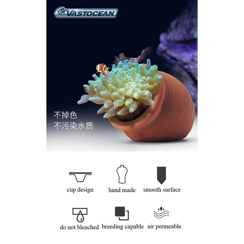 ceramic Anemone cup cone shaped for marine aquarium or breeding house ...