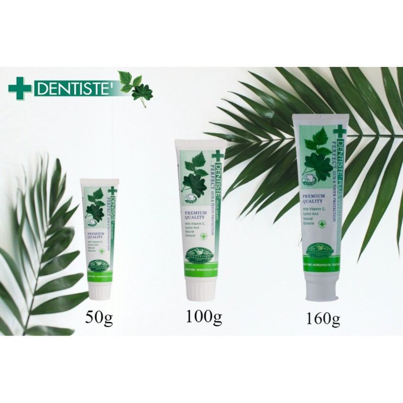 DENTISTE Plus White Nignttime ToothPaste 50g/100g | Shopee Malaysia
