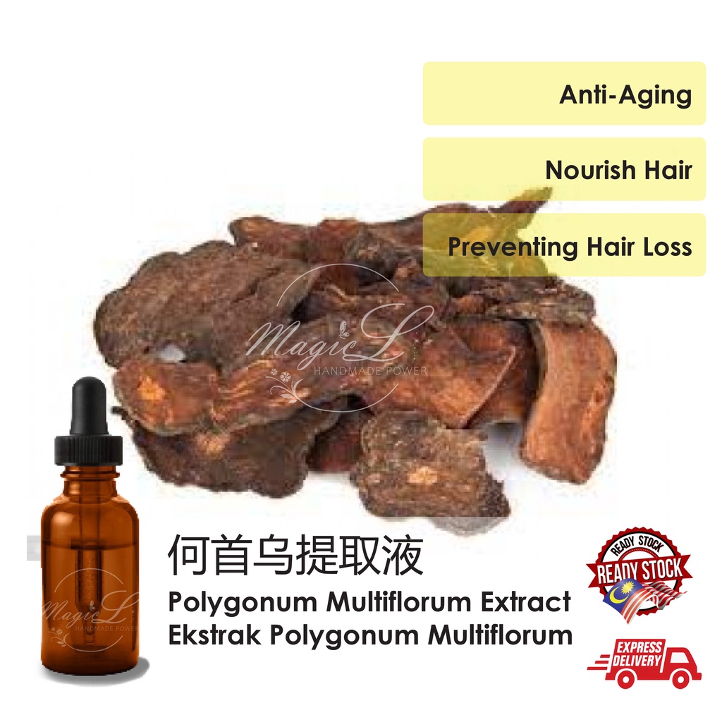 Polygonum Multiflorum Extract 何首乌萃取液 Ekstrak Cecair Polygonum ...