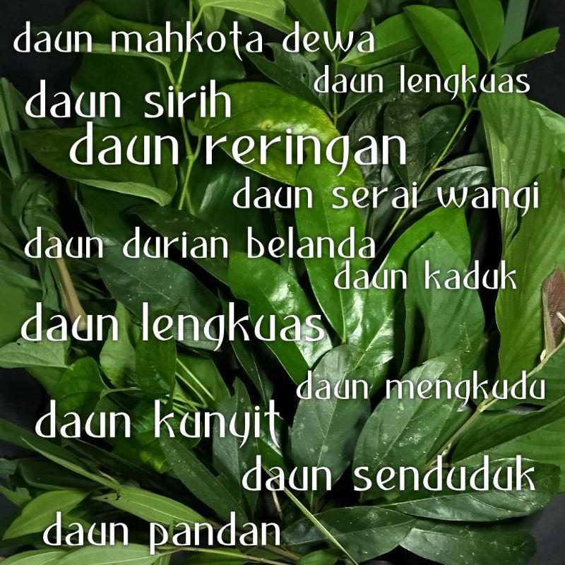 daun untuk mandian dalam pantang | Shopee Malaysia