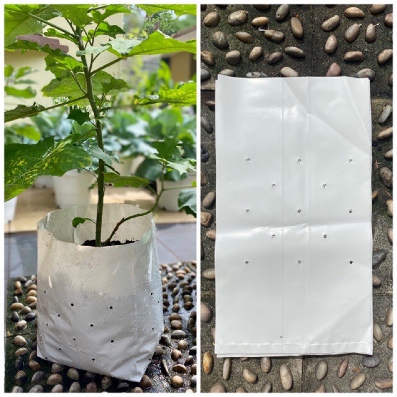 🔥🔥BIG SALES🔥🔥Heavy Duty 16" x 16" Polybag White Putih UV Polibag ...