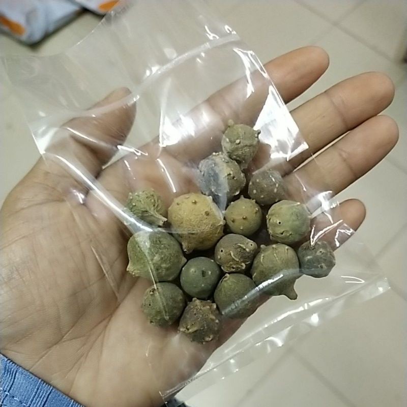 💥💥100 GRAM Biji Manjakani 100gram💥💥 | Shopee Malaysia