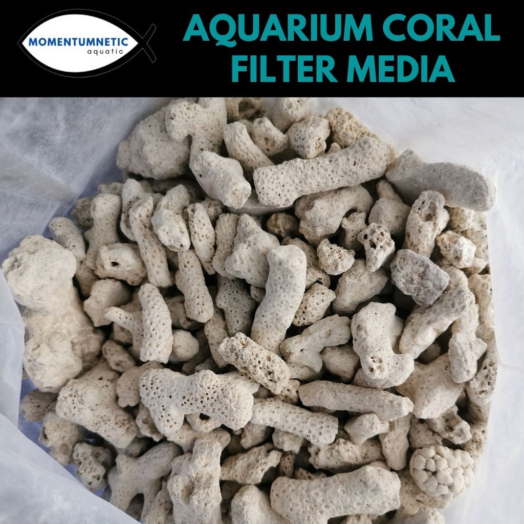 Aquarium Coral Stone Filter Media / Batu Karang Aqaurium 鱼缸珊瑚石 | Shopee ...