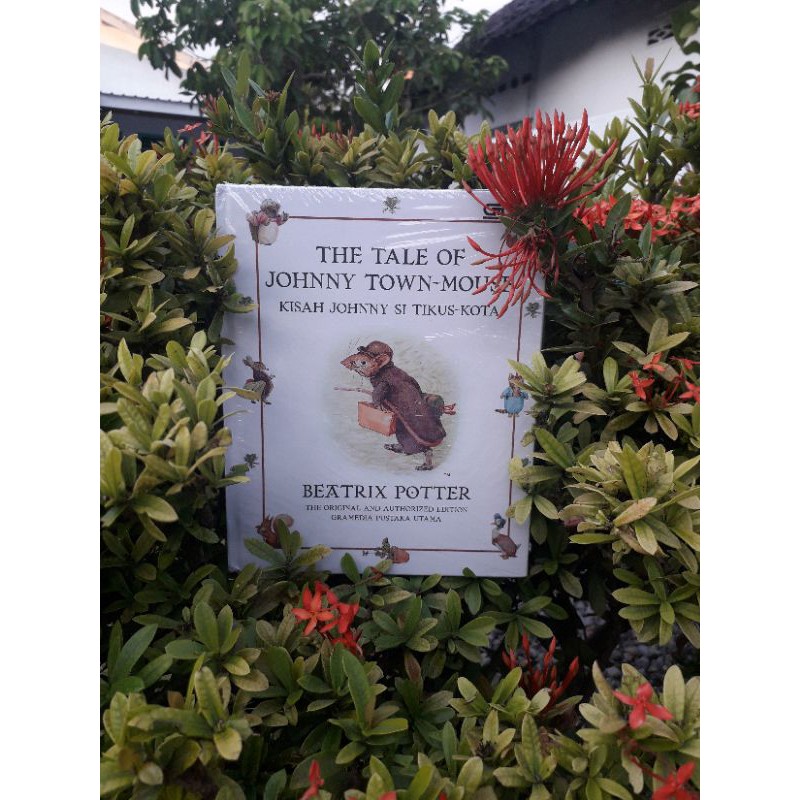 Beatrix porter children's book the tale of johnny town - mouse (johnny ...