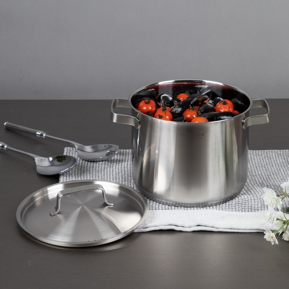 HAMPTONS REX Stainless Steel IH Induction Stock Pot (20cm) with Pasta ...