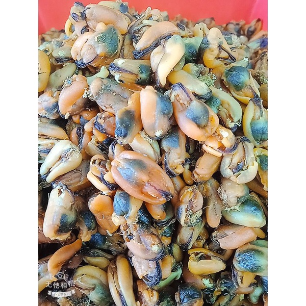 Isi Siput Kupang (Gred A) Hasil Laut Terbaik | Shopee Malaysia