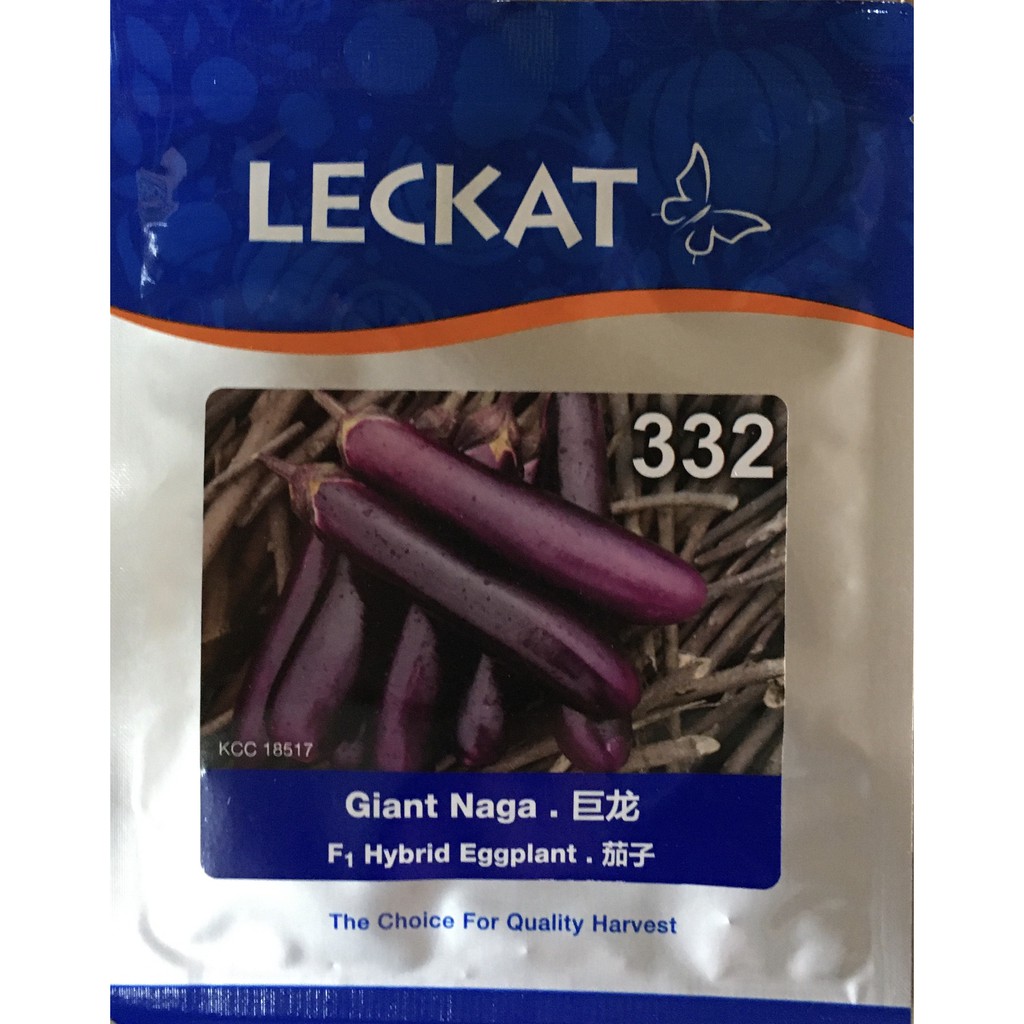 * ORIGINAL * Leckat F1 Giant Naga Eggplant 332 10g / biji benih " ready ...