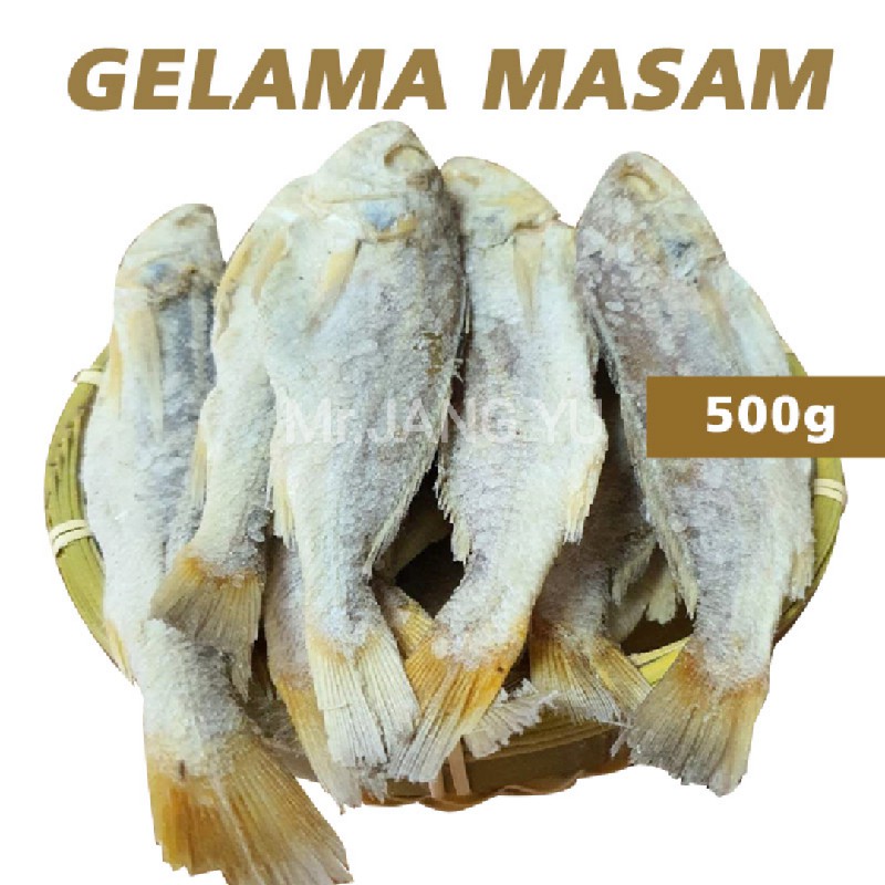 🔥Ikan Masin Gelama Masam梅香鹹魚💯Salted Fish Gred A Pulau Pangkor( 500g~1kg ...