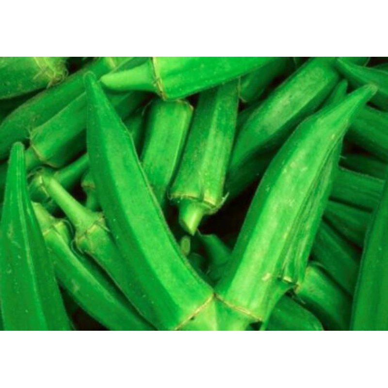 *Ready Stock 25pcs Seeds Okra Vegetable plant Kacang Bendi 羊角豆 | Shopee ...