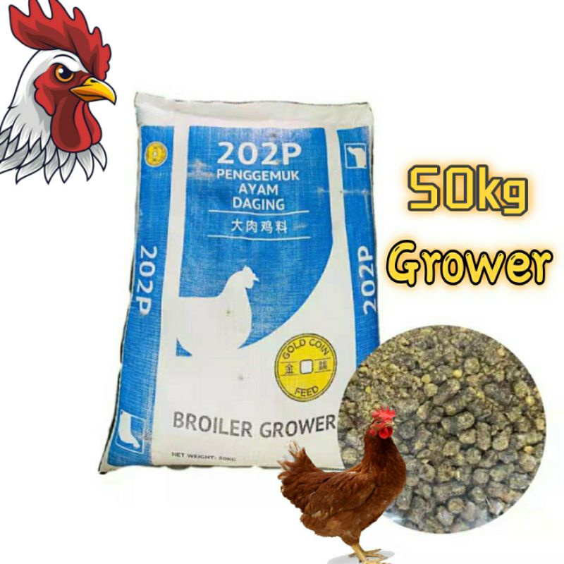 (50kg) 202P Dedak Makanan Ayam Daging Pengemuk Kasar Gold Coin | Shopee ...