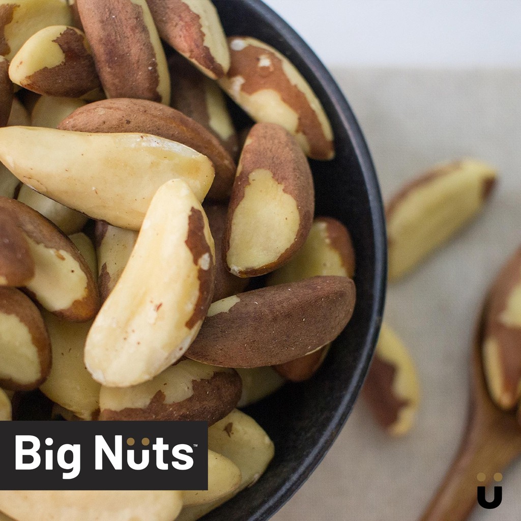 Big Nuts Organic Raw Brazilnut (Not Roasted) (500g / 1kg) / Kacang Brazil Mentah - Nuts | Shopee ...