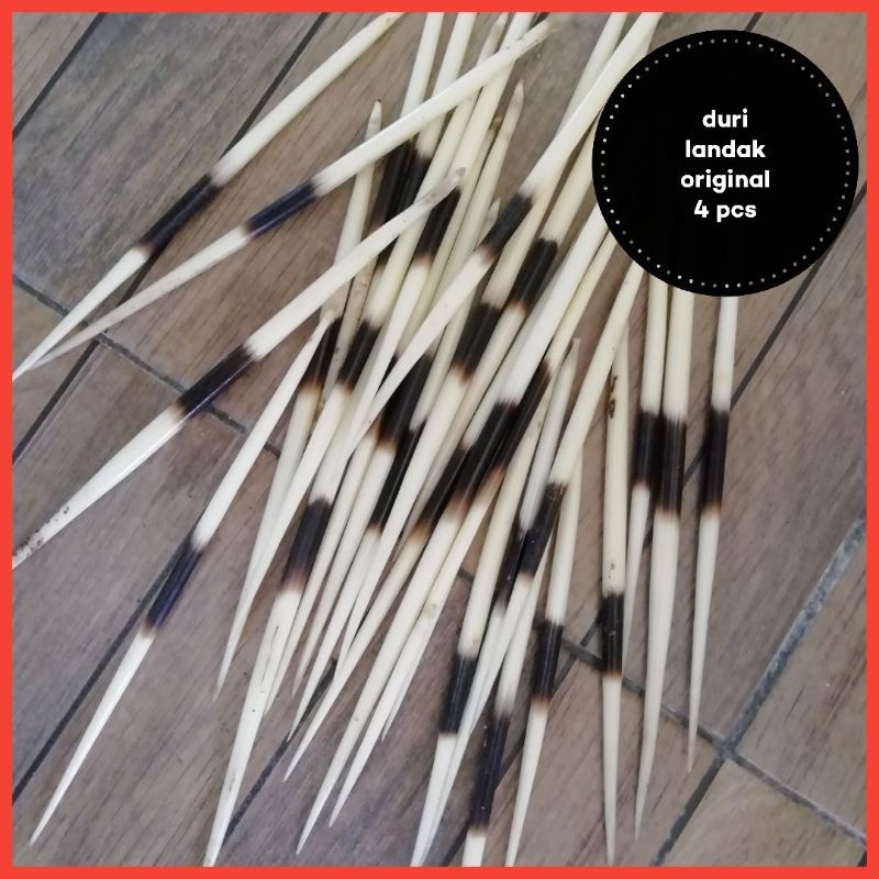 🔥Duri landak original 🔥 [1set 4 pcs] | Shopee Malaysia