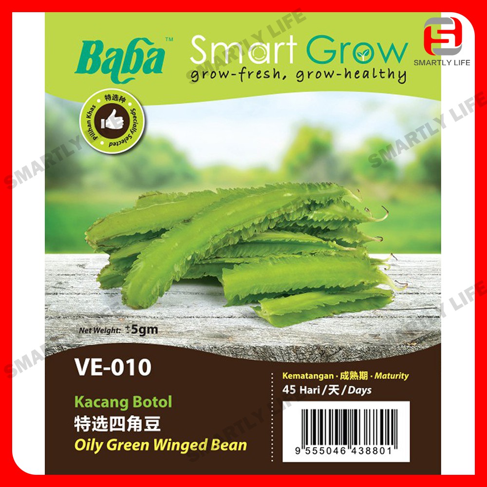 Baba Smart Grow Seed: VE-010 Oily Green Winged Bean 特选四角豆 Kacang Botol ...