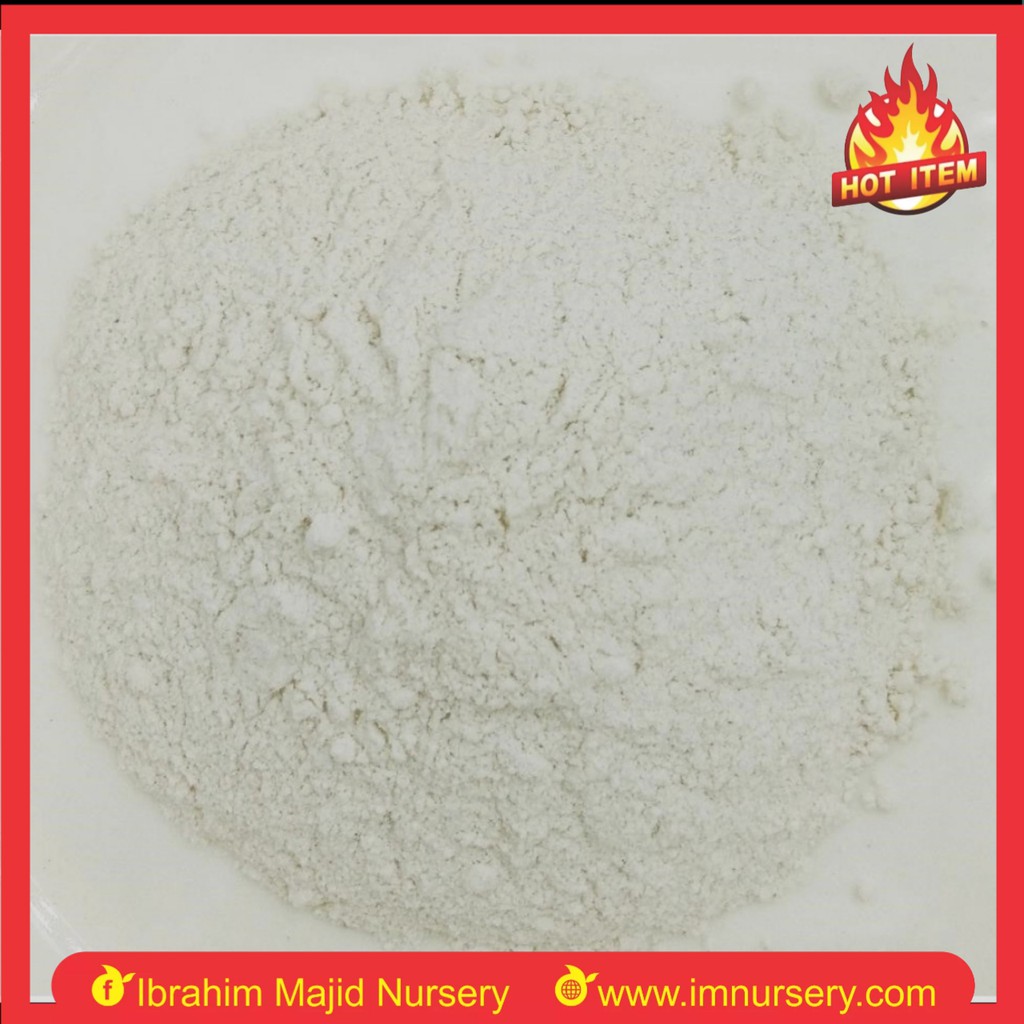 1KG Kapur pertanian/ Ground Magnesium Lime (GML) | Shopee Malaysia