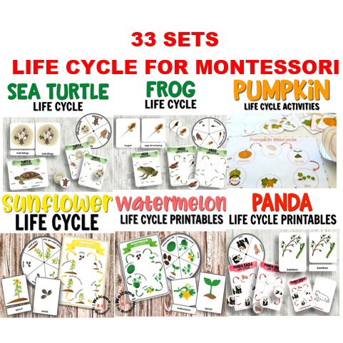 414 33 sets Life cycle bundle Montessori (PDF) Kindergarten learning ...
