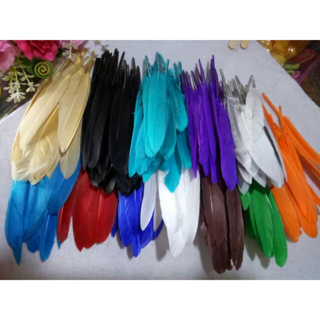 Mix Color Upright Feather (12pcs) | Shopee Malaysia