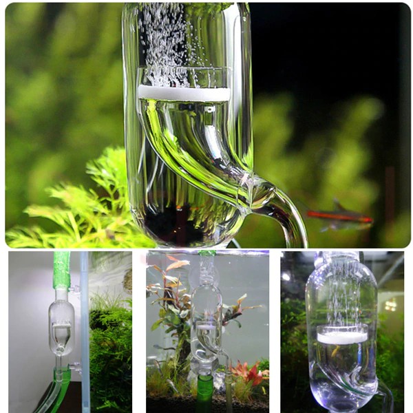 [MCO Sales] CO2 Inline Diffuser 12/16 16/22 Glass CO2 Atomizer Bubble ...