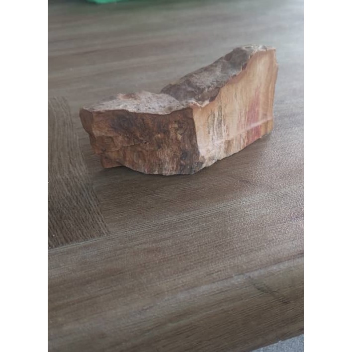 Kayu Kemuning EMAS (menjadi BATU) | Shopee Malaysia
