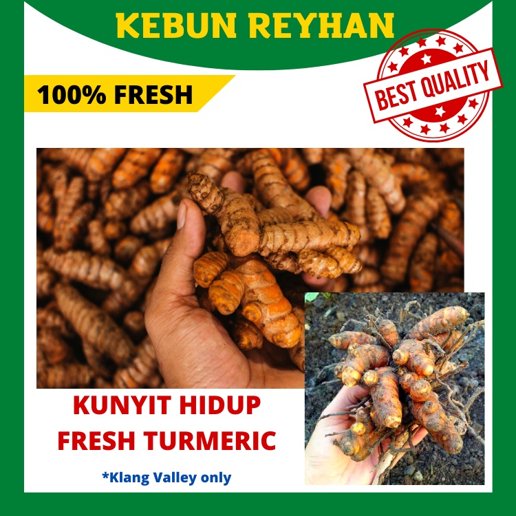 [PRE-ORDER] 100% Fresh Organic Segar Vegetables Grocery 250g Turmeric ...