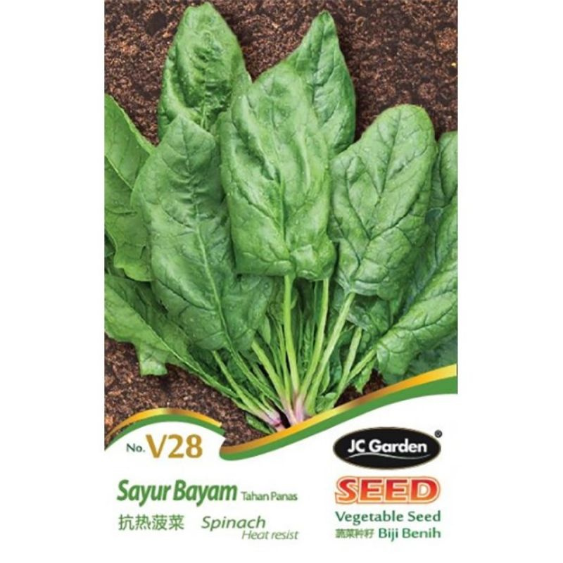 V28 Sayur Bayam, Spinach, JC Garden Vegetable Seed Biji Benih | Shopee ...